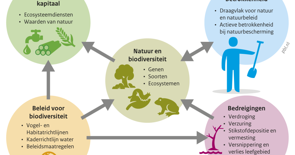 Overzicht indicatoren natuur en biodiversiteit | Compendium voor de ...