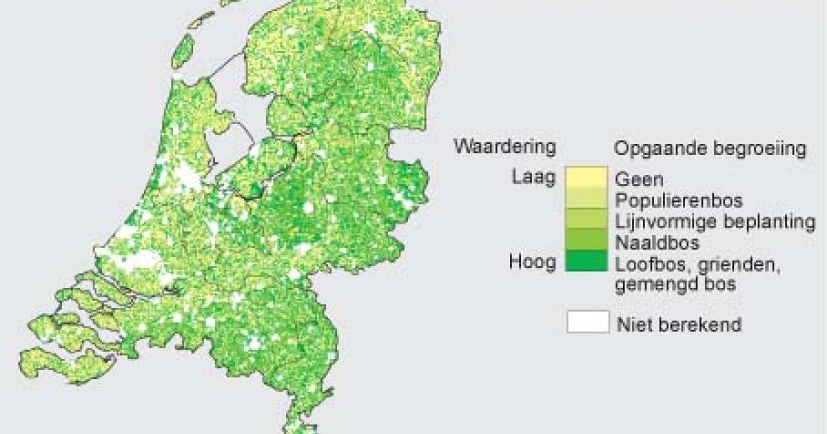 Waardering van opgaande begroeiing | Compendium voor de Leefomgeving