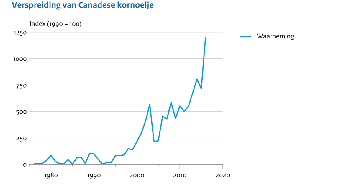 Invasieve plantensoorten zijn in de laatste decennia sterk toegenomen ...